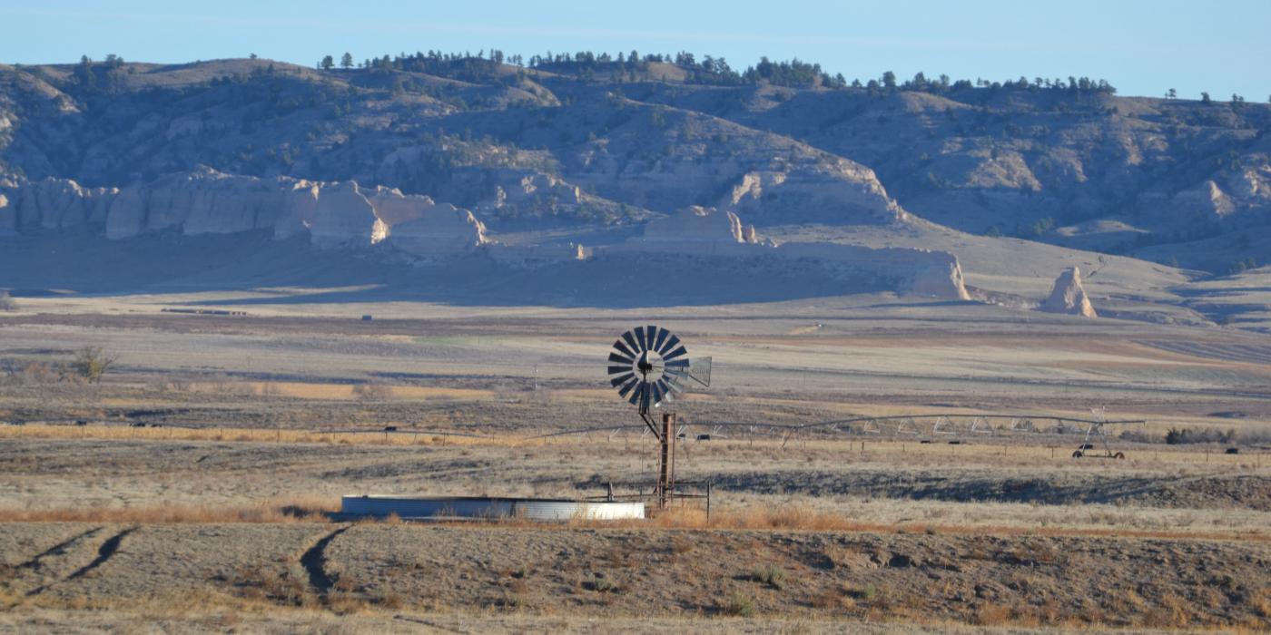 What We Do | Darnall Feedlot